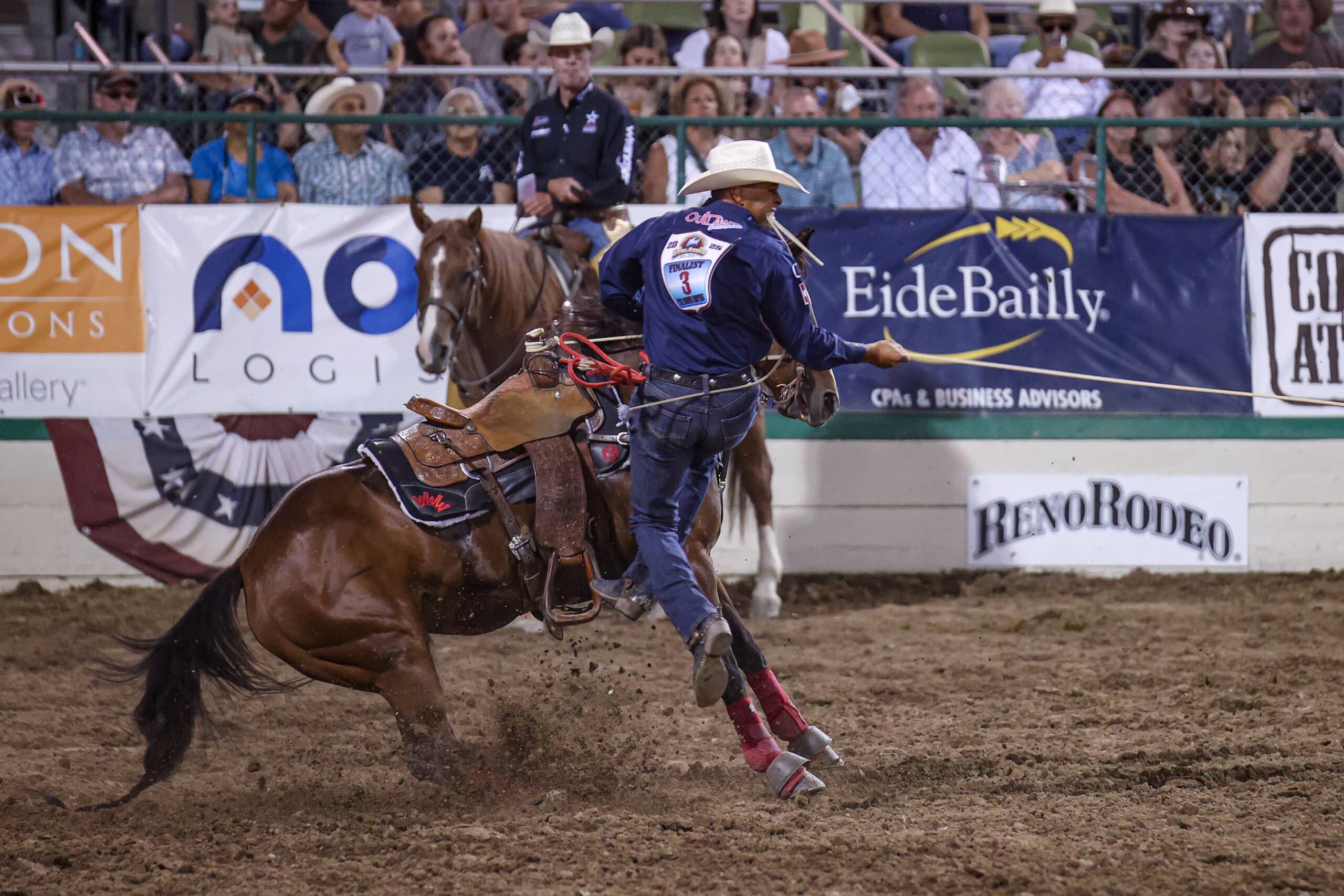 Ultimate Guide to Tiedown Roping - Best Ever Pads